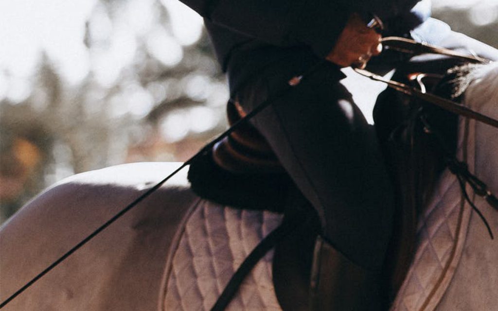 Rider Suspended For Two Months After Extensively Whipping His Horse ...